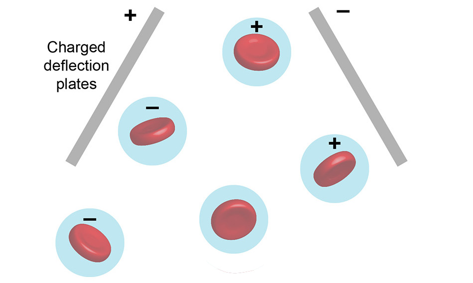 What is Flow Cytometry? | Coherent