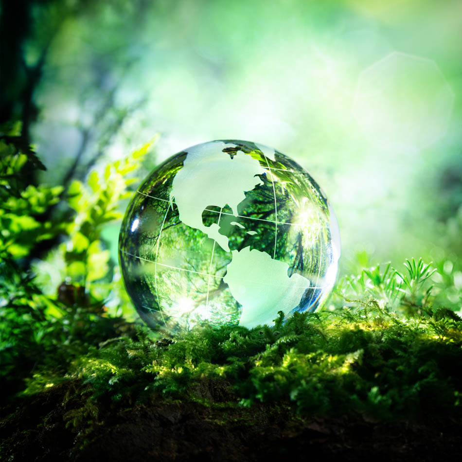 Steve Pagliuca | Board of Directors | Coherent